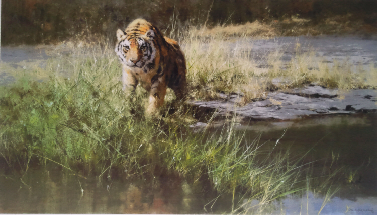David Shepherd, big cats page