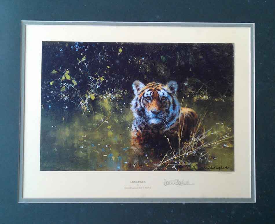 davidshepherd-tigers