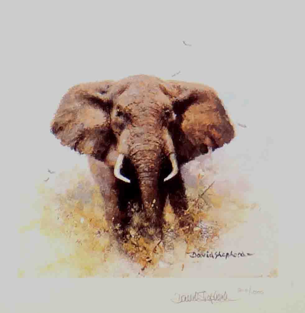 David Shepherd, signed, prints, elephant, cameo