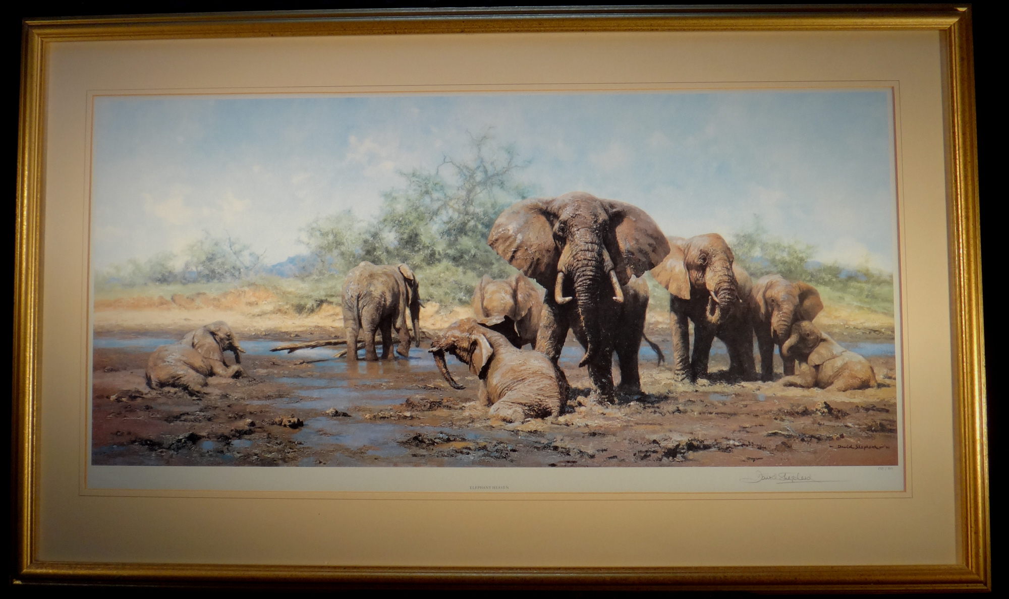 davidshepherd-elephantheaven