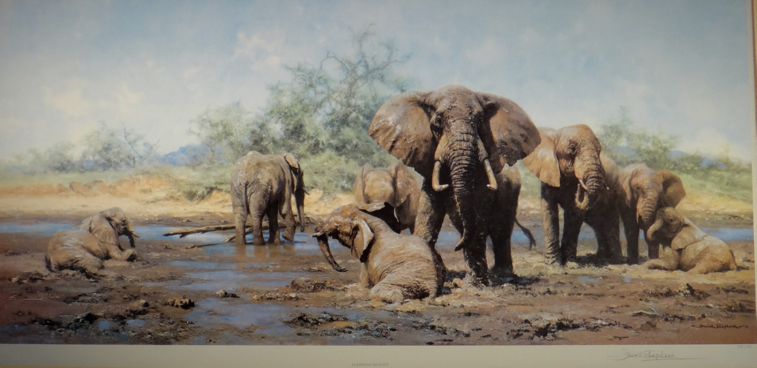 davidshepherd-elephantheaven