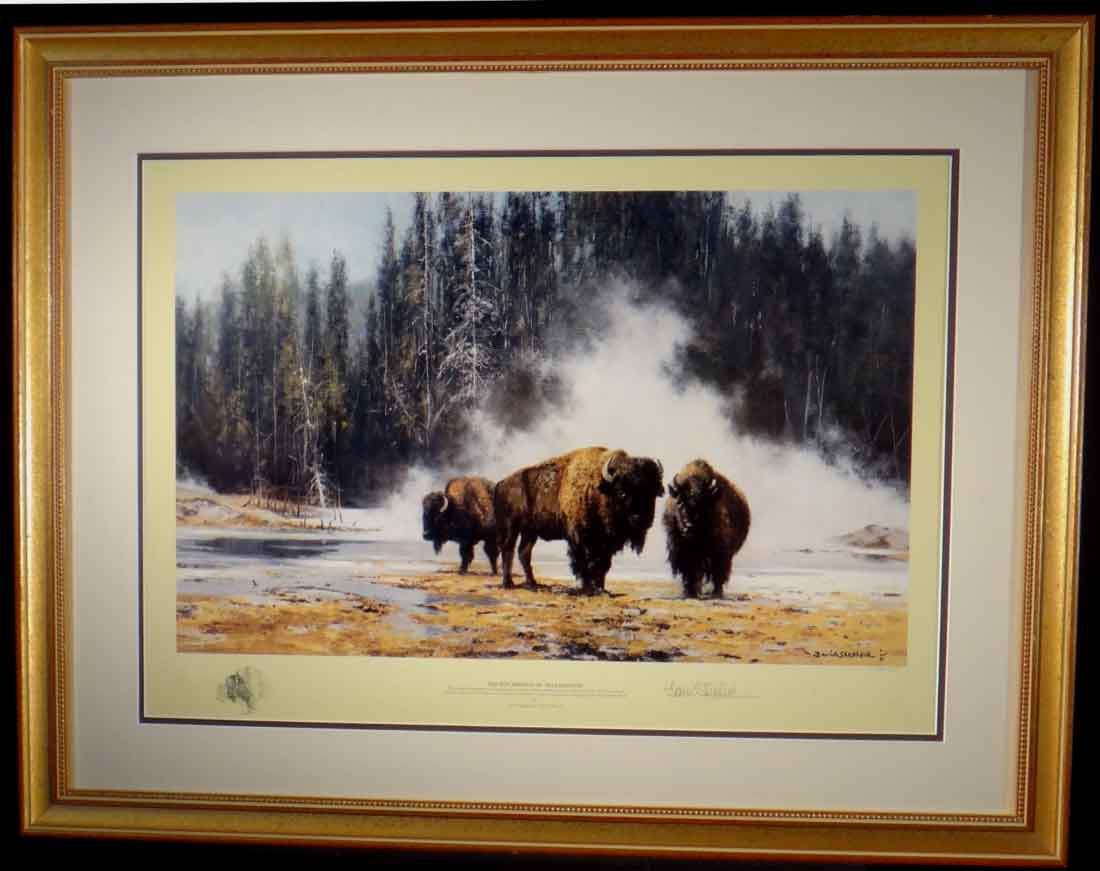 David Shepherd Print, American Bison, The Hot Springs of Yellowstone