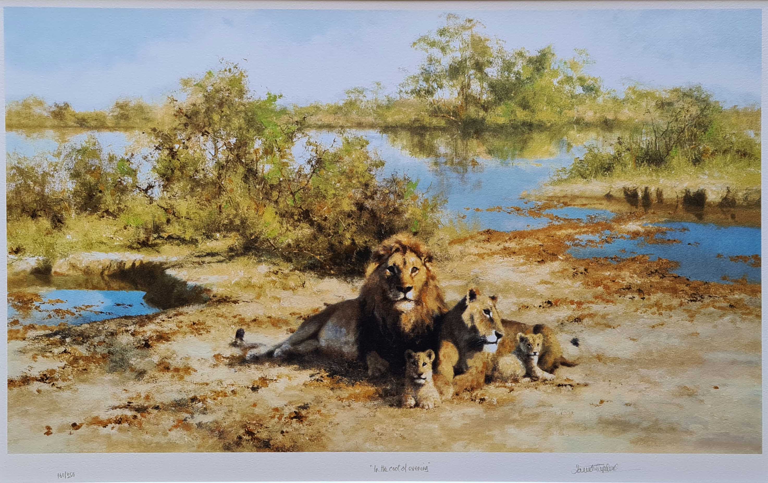 David Shepherd signed, limited edition, prints, in the cool of evening ...