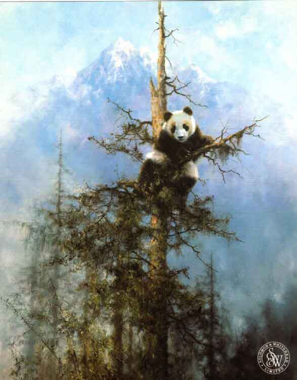 David Shepherd, pandas