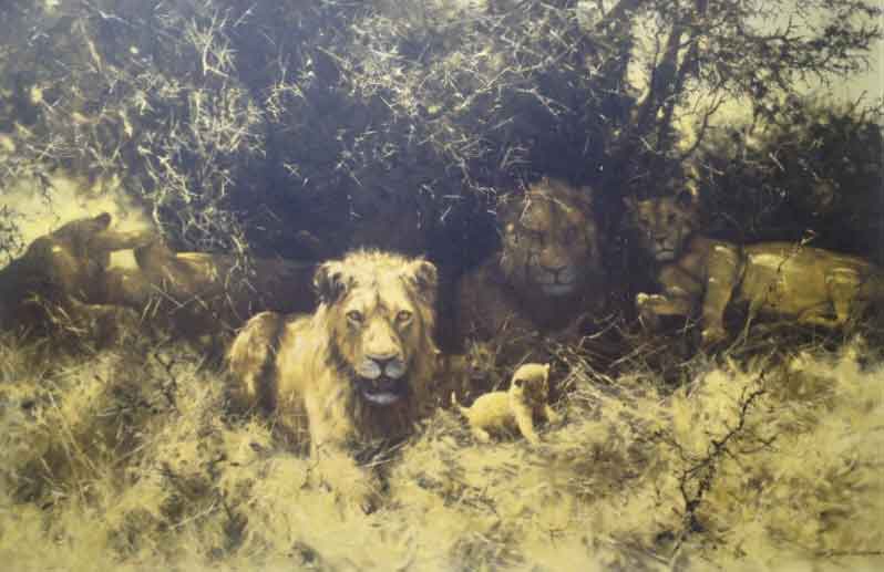 davidshepherd-lions-poster, decorative