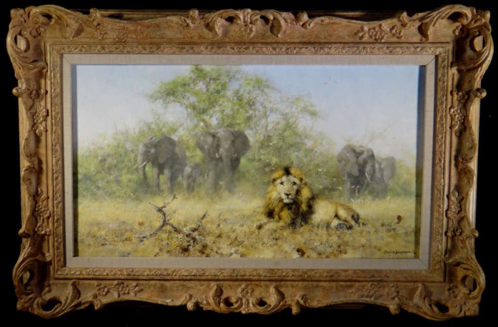 David Shepherd, original painting, lion