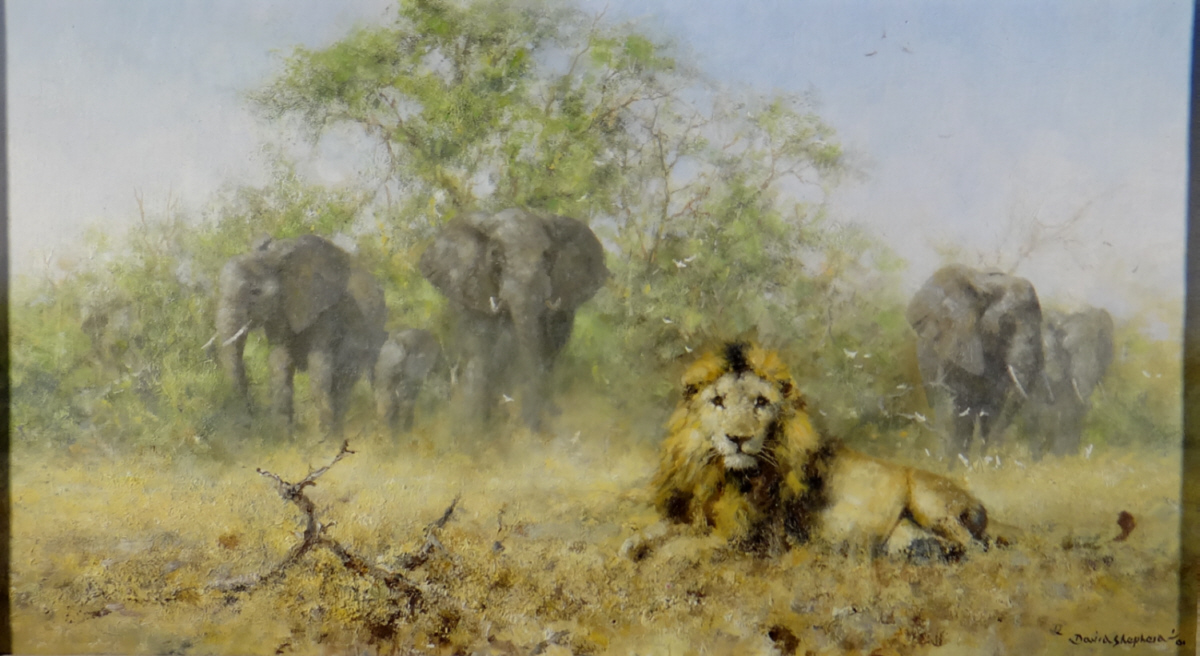 David Shepherd, original painting, lion