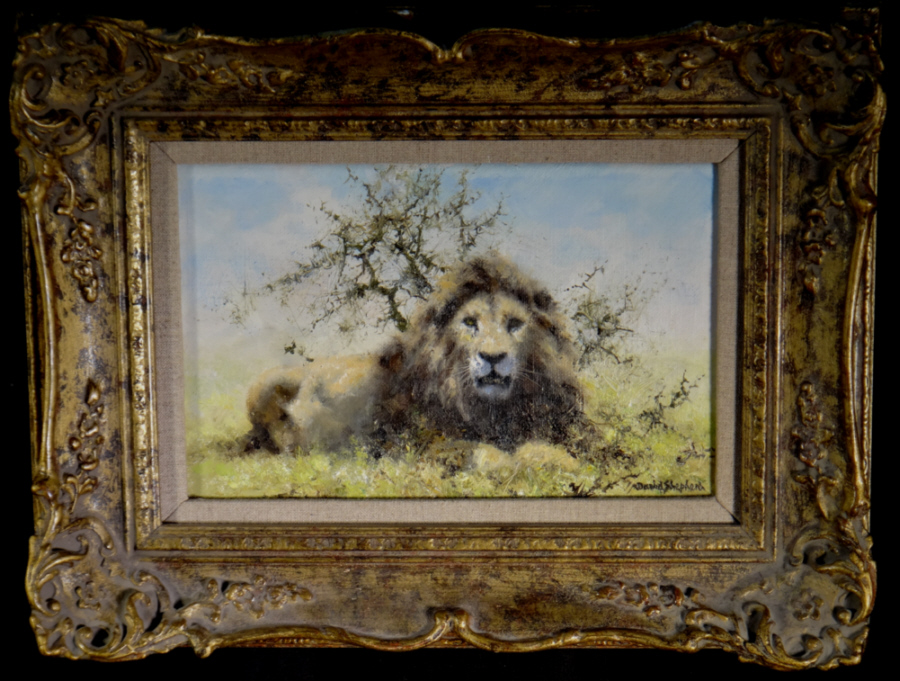 David Shepherd, original, lion2
