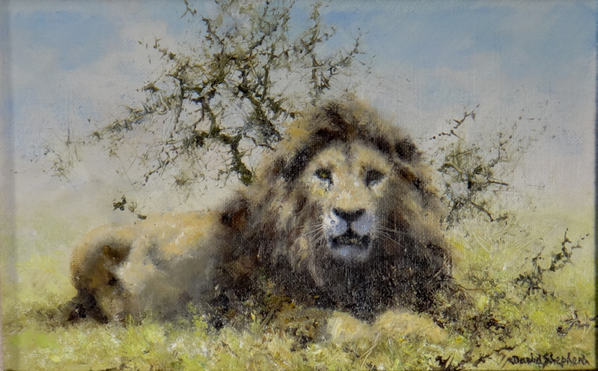David Shepherd, original painting, lion