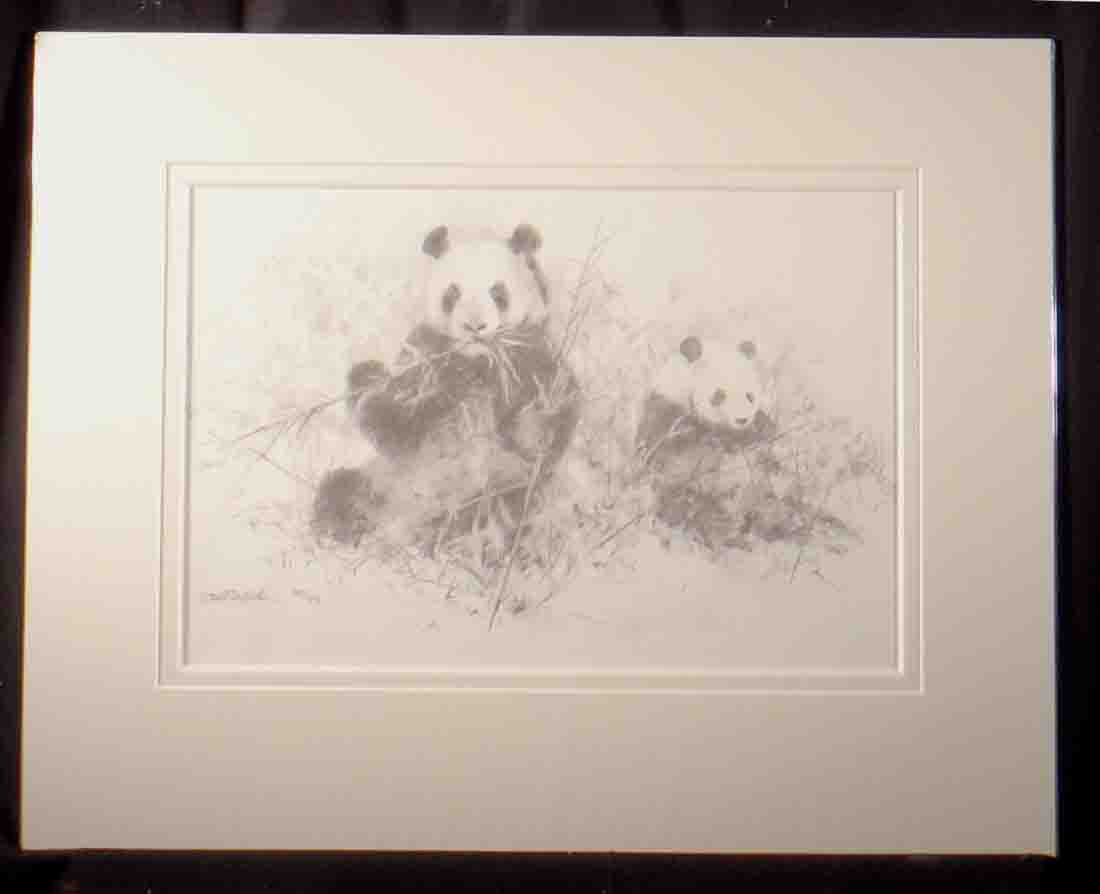 David Shepherd, signed, limited editions, prints, pandas, sketch
