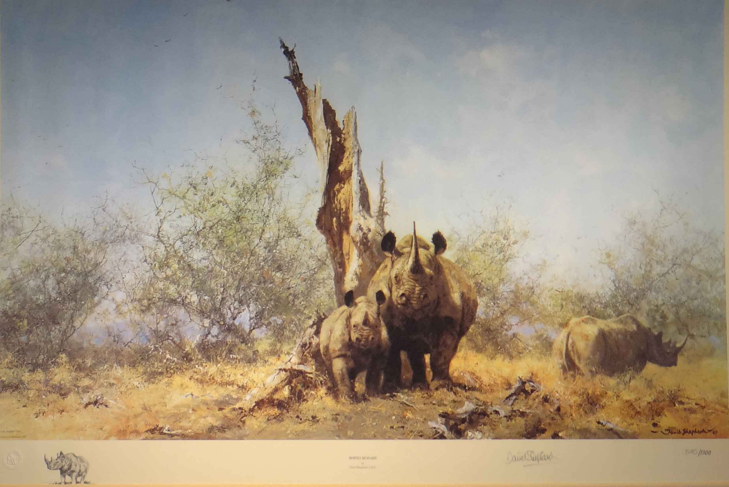 David Shepherd signed, limited, prints,rhino beware