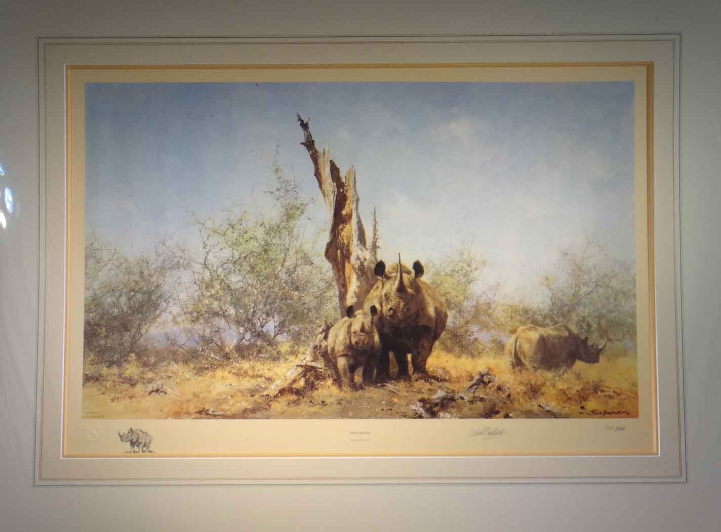 David Shepherd signed, limited, prints,rhino beware