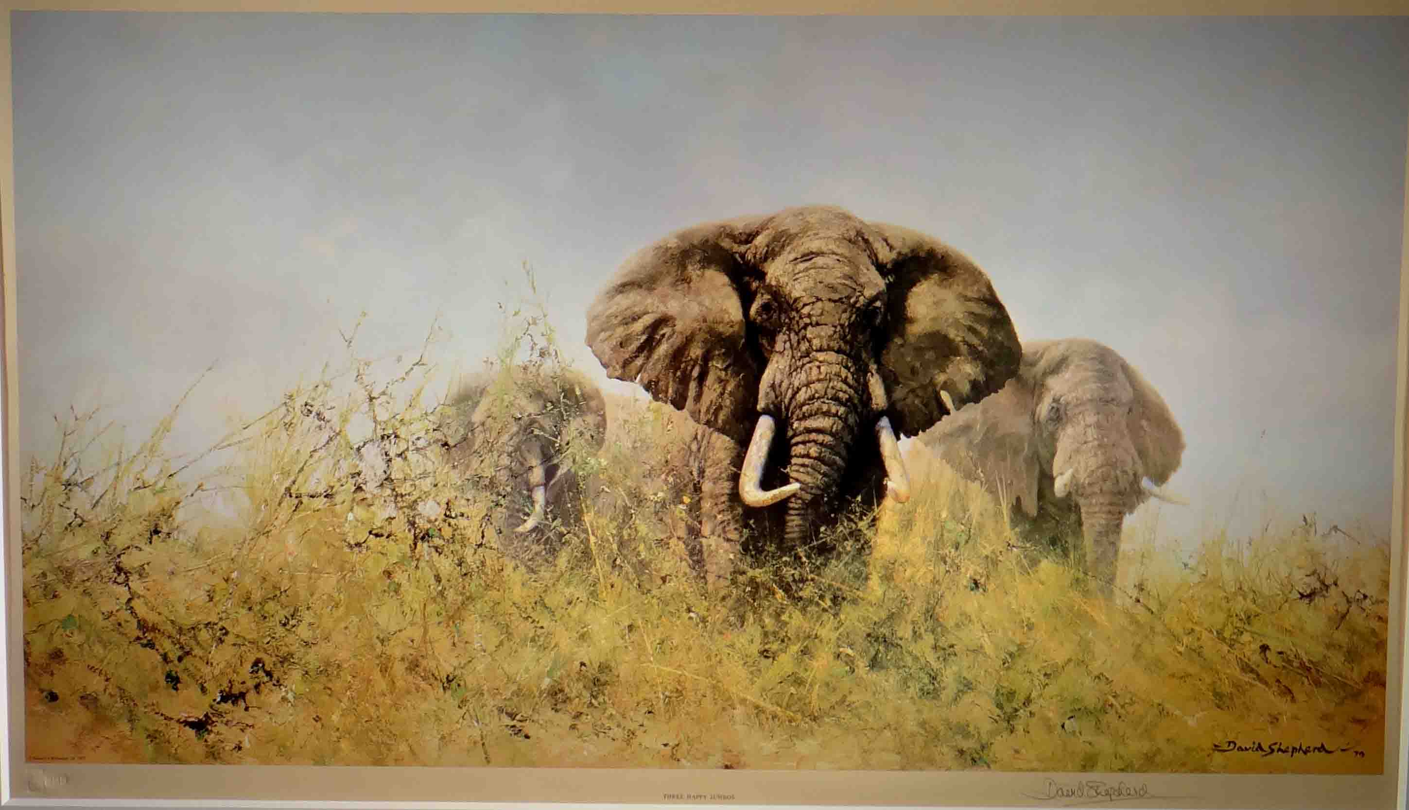 David Shepherd signed, limited edition, print,three happy jumbos