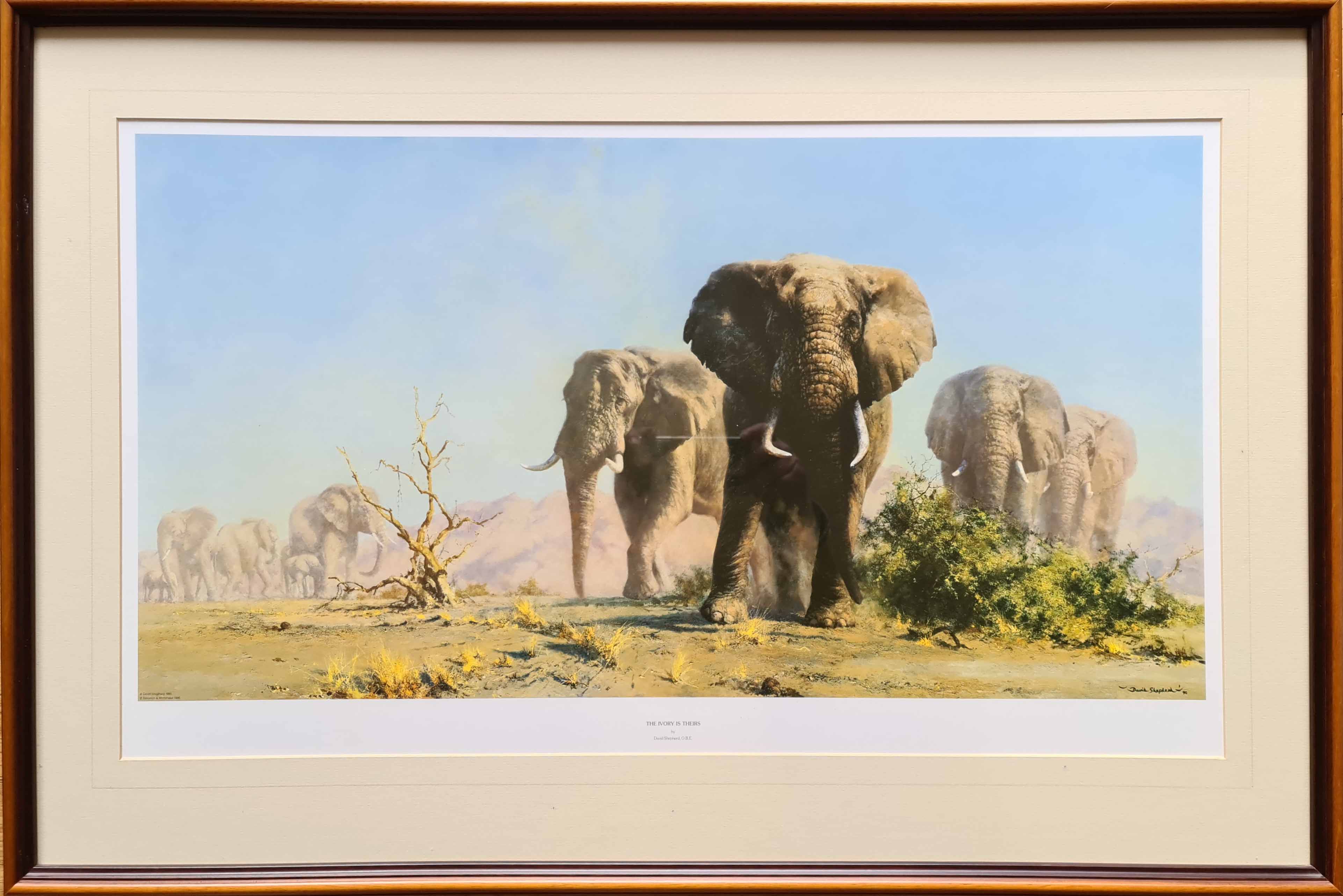 davidshepherd-theivoryistheirs