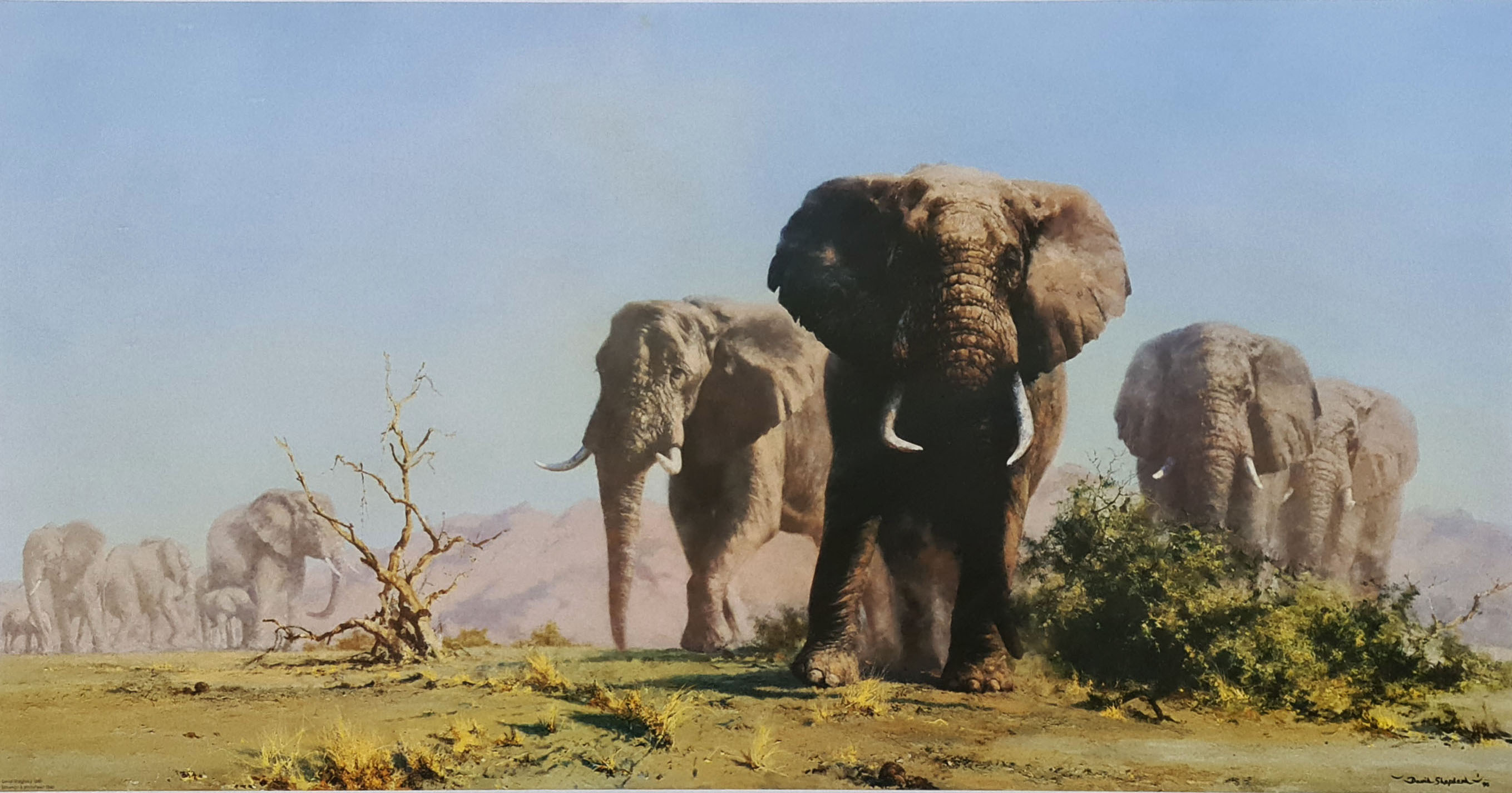 davidshepherd-theivoryistheirs