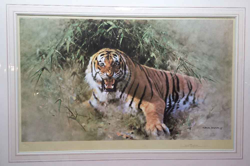 David Shepherd, big cats, tigers, lions, cheetahs, leopards